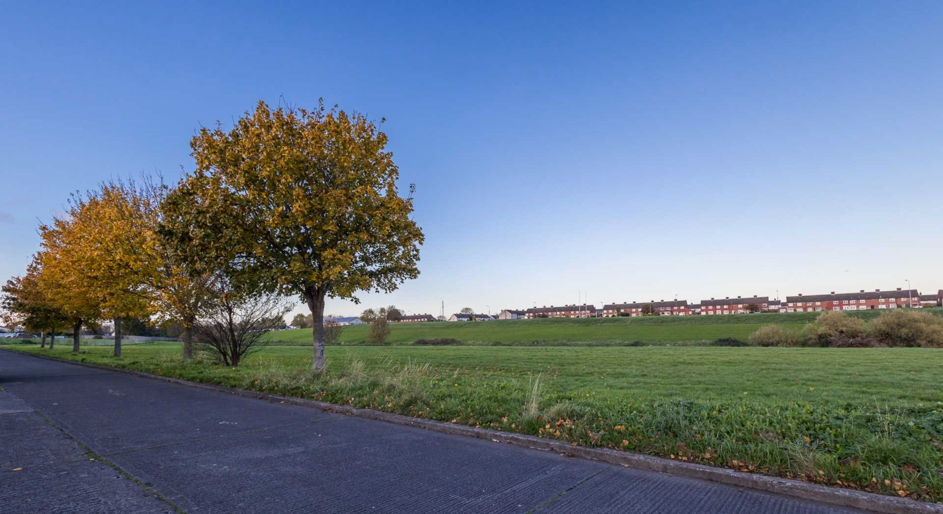 Artane | Owen Reilly