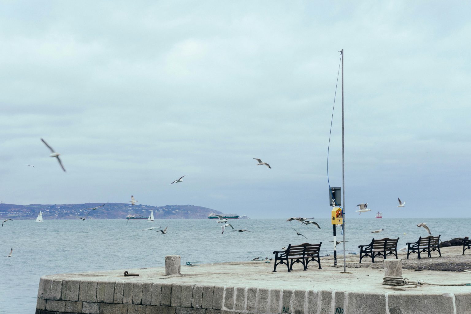 Glenageary | Owen Reilly